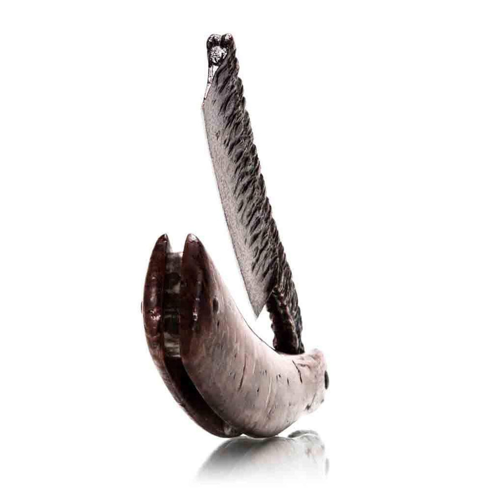 Click or scroll to zoom